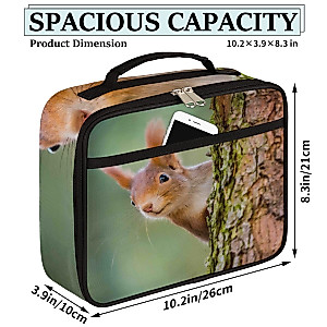Kids Lunch Box for Boys Girls Cute Animal Squirrel Forest Insulated Lunch Bag Reusable Small Cooler Bag Meal Containers Tote Kit for School Travel Women Men