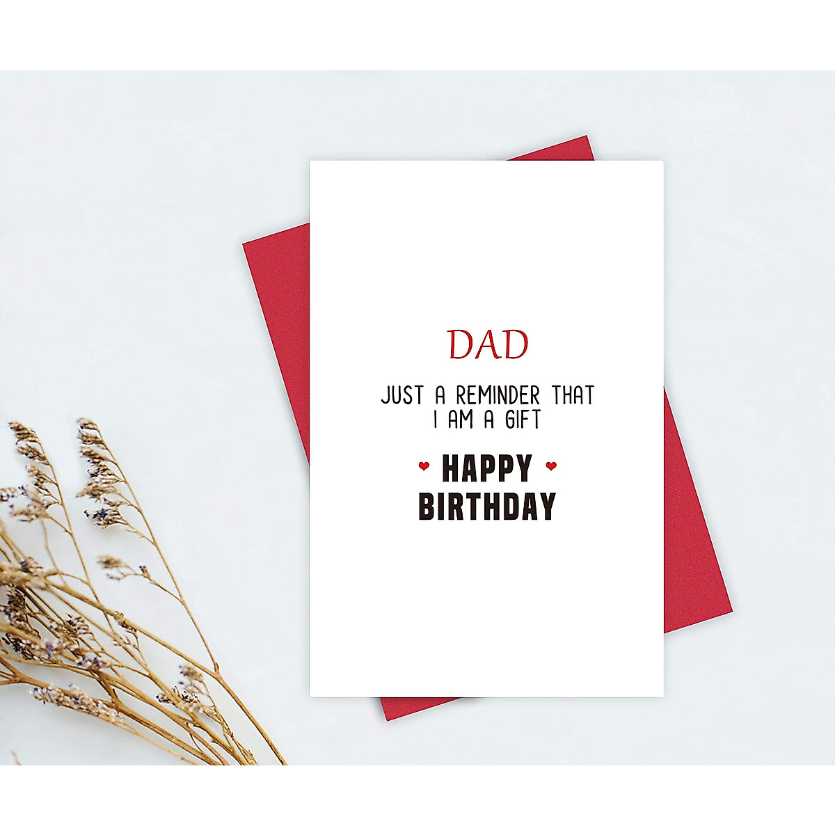 Funny Birthday Card for Father Dad, Birthday Card from Daughter, Dad Just a Reminder That I Am a Gift