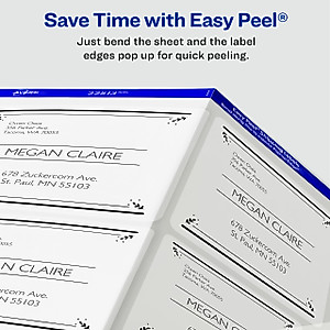 Avery Printable Shipping Labels with Sure Feed, 2" x 4", Matte Clear, 500 Blank Mailing Labels (5663)