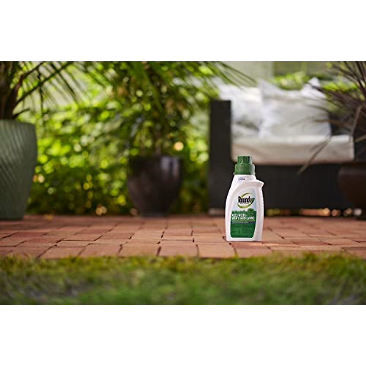 Roundup 5008410 Lawns 5 Concentrate, 32oz