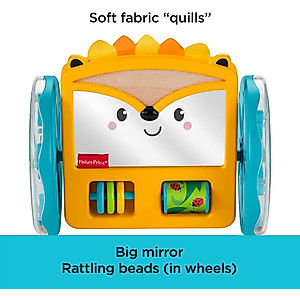Fisher-Price Play & Crawl Hedgehog Mirror