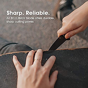 TRUE Ball Bearing Flipper Knife Sharp and Reliable Flipper Pocket Knife with 3" Drop Point Blade, Black, One Size