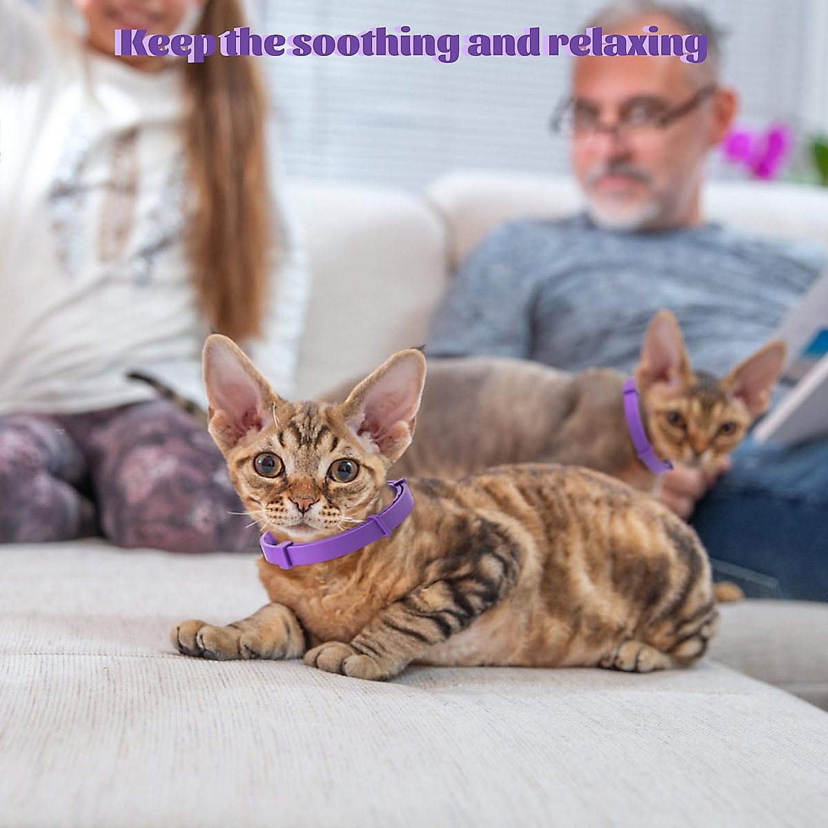 4 Pack Calming Collar for Cats and Kittens,Cat Pheromone Collars for Anxiety Efficient Relieve, Feline Calm Pheromones Collars Cats Stress Relief,Calming Collar for Peeing,Meowing,Fighting,Scratching