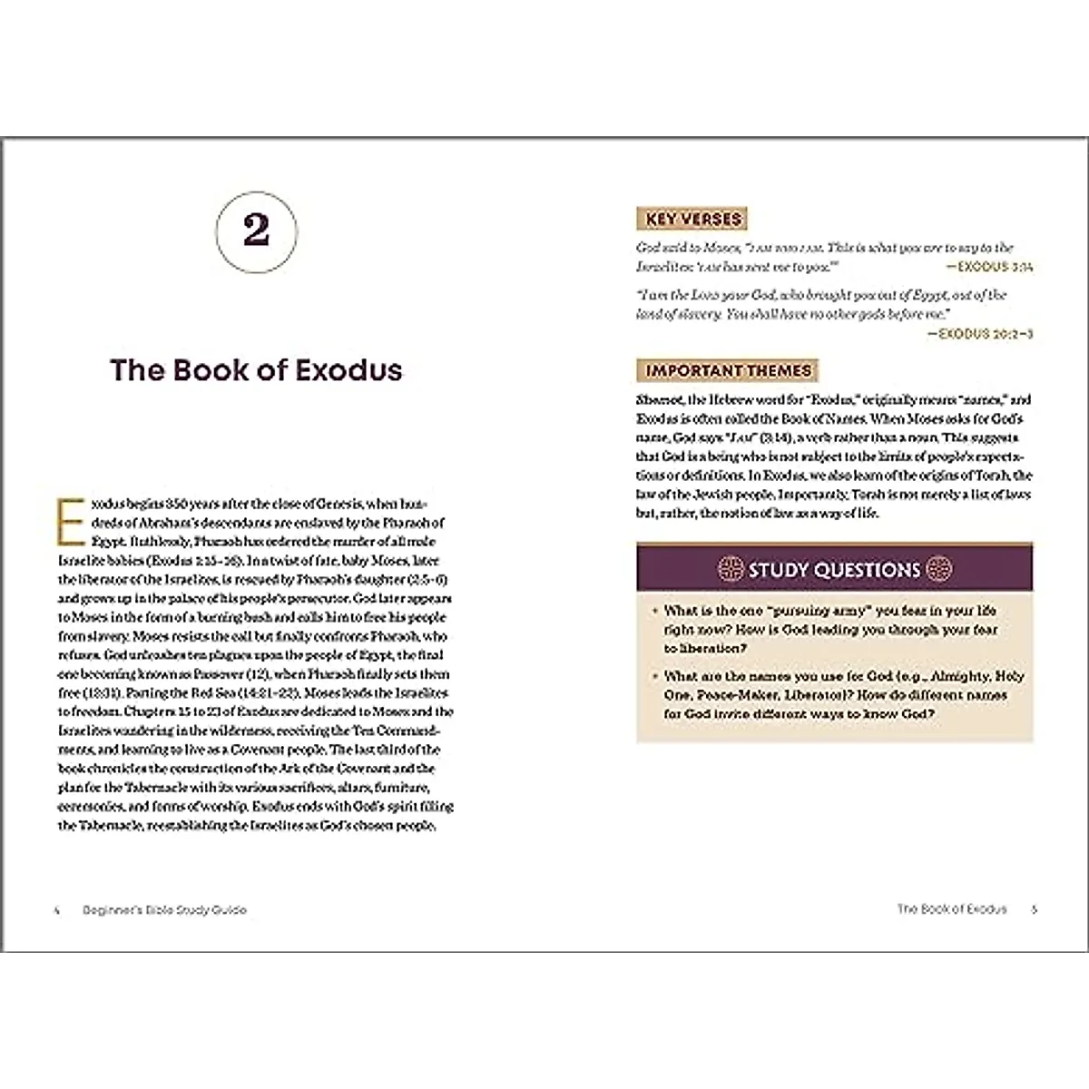 The Beginner's Bible Study Guide: An Introduction to All 66 Books of the Bible