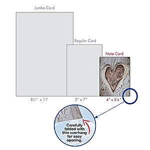 The Best Card Company - 10 Blank Heart Note Cards Boxed (4 x 5.12 Inch) - All Occasion Heartfelt Love Card Assortment - Heartscapes AM6838OCB-B1x10