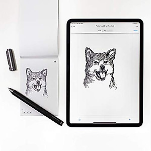 Livescribe Symphony Smartpen Digital Pen – Compatible with iOS, Android, Smartphones, Tablets (Latest Version), Black