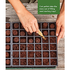 Burpee 72 Count Coir Seed Starting Pellet 22.5mm
