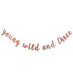 Rose Gold Glitter Young Wild and Three Banner - Happy 3rd Birthday Boy Girl Party Decorations - Great for Baby Shower Boho Tribal Themed 3rd Birthday Party Decor