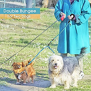 BAAPET Double Dog Leash, 4 FT Rope Dog Leash with Tangle Free Shock Absorbing Bungee and Poop Bags for Dual Small Medium Large Dogs (Medium/Large, Blue)