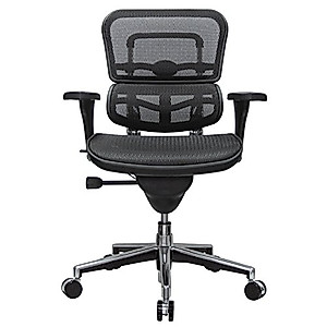 Eurotech Seating Ergohuman Mid Back Mesh Swivel Chair, Black