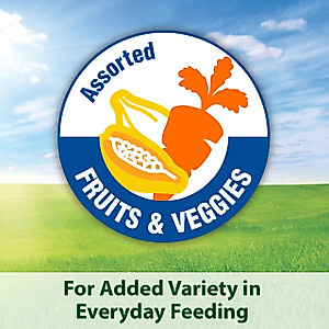 Kaytee Fiesta Hamster And Gerbil Food, 2.5-Lb Bag