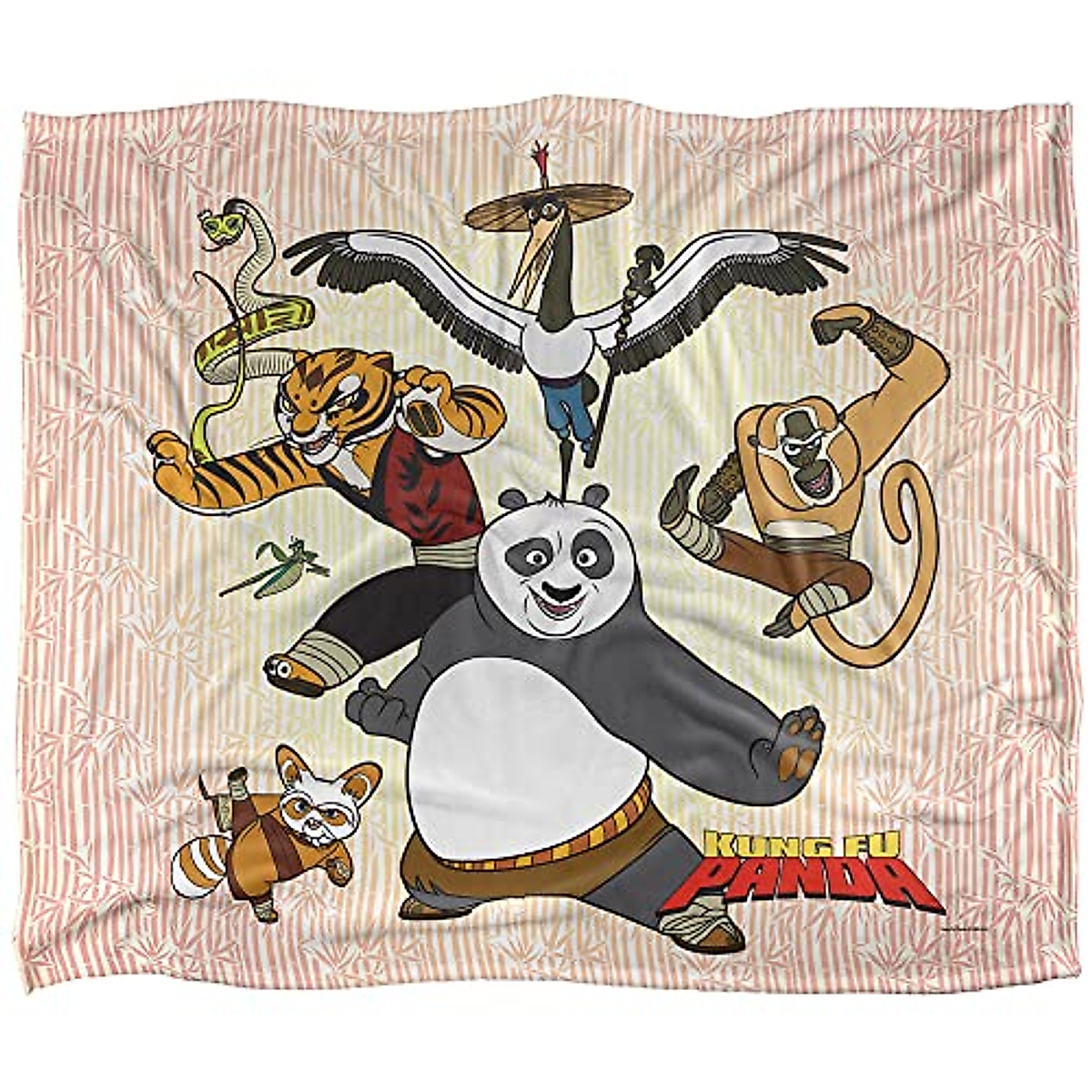 Kung Fu Panda Kung Fu Group Officially Licensed Silky Touch Super Soft Throw Blanket 50" x 60"