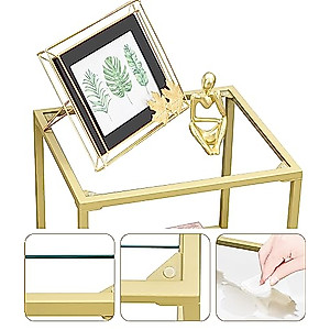 Homhedy 5-Tier Bookshelf,Metal Bookcase,Tempered Glass Shelves,Storage Rack Shelf for Home Office ,Living Room,Bedroom, Bathroom,Modern Style,Golden