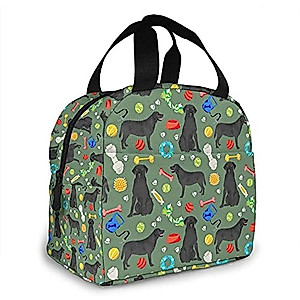 SHENGBAO Lunch Bag Black Lab Dog Cute Labrador & Toys Lunch Box Insulated Bag Tote Bag For Men/Women Work Travel, one size