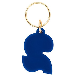 Desert Cactus Sigma Gamma Rho Keychain Line Number # Cross Over Initiation Acrylic Mirrored Decorative SGR Divine 9 (#2 Line Number Keychain)
