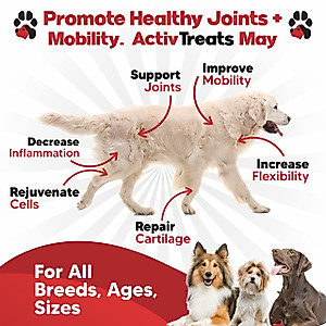 Glucosamine for Dogs Hip and Joint Supplement - Safe Joint Support for Dogs - Dog Joint Supplement with Glucosamine Chondroitin MSM Turmeric - 120 Joint Care Chews for Dogs ActivTreats