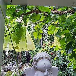 Miuezuth 50PCS Fruit Protection Netting Bags for Fruit Trees, 9x6 Inch Garden Mesh Barrier Bags to Protect Plants from Pest Birds Squirrels, Fruit Cover Mesh Bag with Drawstring, Reusable, Green