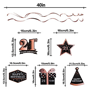 LINGTEER Happy 21st Birthday Decorations,21st Birthday Black with Rose Swirls Hanging Streamer Kit,Cheers to 21 Years Old Bday Foil Party Photo Backdrop Supplies.