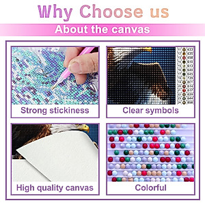 5D DIY Diamond Painting Kits Full Drill,Diamond Painting Kits Art,Animal Diamond Art, Handsome Eagle Diamond Painting Craft for Home Office Wall Decor 8x12 inch