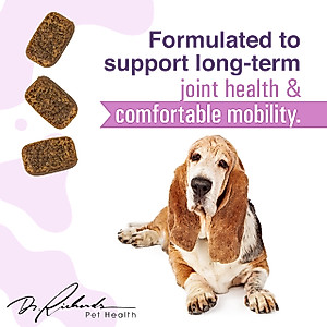 Dr. Richard's Hip & Joint Plus for Dogs - Soft Chew Supplement with Natural Perna Mussel, Glucosamine, Chondroitin, MSM. Supports Hip & Joints, Improves Nutrient Absorption, Vitamin C Antioxidants
