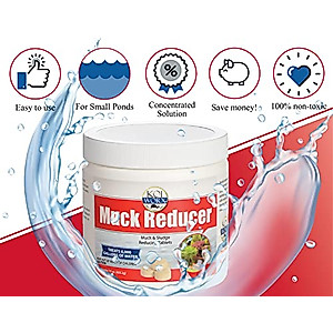 KoiWorx Muck Reducer, 145 Tablets Treats up to 6,000 Gallons of Water, Beneficial Bacteria Reduces Muck, Sludge and Organic Build up, Formulated for Ponds, Water Features and Safe for Koi