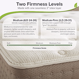 Eco Terra | Natural Latex | Luxury Hybrid Mattress | Medium Firm Mattress with Encased Coil Spring | Twin