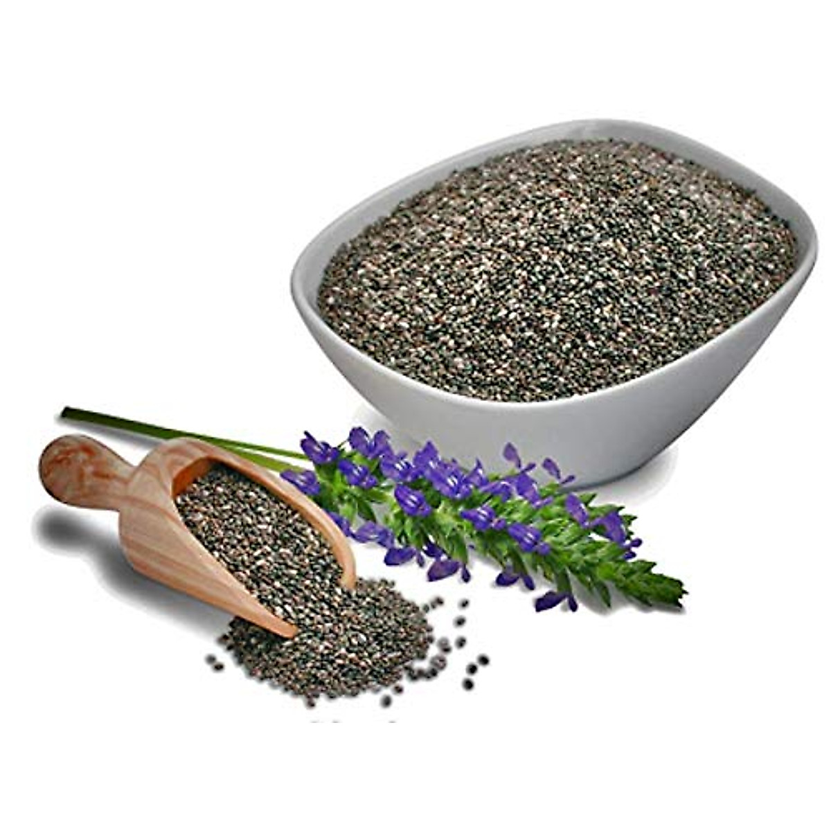 Chia Seeds for Planting, 1000+ Seeds Per Packet,Herb/Flower, (Isla's Garden Seeds), Non GMO & Heirloom Seeds, Scientific Name: Salvia hispanica, Great Gift