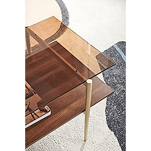 AGV LIGHTING 202206 Tadio Glass Coffee Table, Double Layer Coffee Table for Living Space, Gold Finish Frmae, Coffee Brown Glass Top & Walnut Brown Wood Top