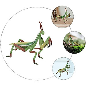 Fake Mantis Insect Figure Model: Plastic Praying Mantis Figurines Model Kit Insect Animal Prank Gifts for Table Decor Garden Animal Props 2Pcs