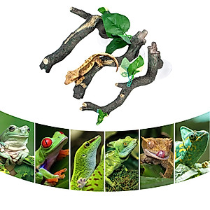 REPTIZOO 3 PCS Reptile Climbing Branch Terrarium Plants Decor with Suction Cup Resin Spliceable Corner Branch for Amphibian Snake Lizards Geckos Habitat Decor