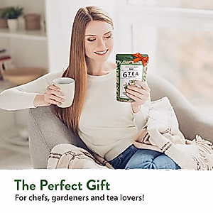 Medicinal Herb Seeds Collection | 6 Heirloom Tea Seeds | Non GMO Lavender, Chamomile, Mint Seeds for Planting Outdoors & Indoors - Lemon Balm, Peppermint, Echinacea | Gardening Gifts for Women & Men