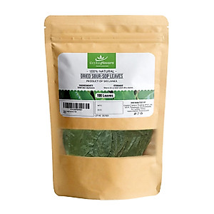 Dried Soursop Leaves From Ceylon Sri Lanka| 100 Leaves