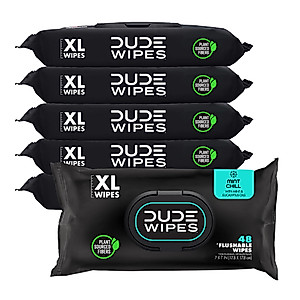 DUDE Wipes Flushable Wipes - 6 Pack, 288 Wipes - Mint Chill Extra-Large Wet Wipes with Eucalyptus & Tea Tree Oil - Septic and Sewer Safe