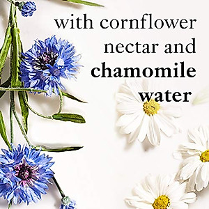 philosophy purity made simple - bi-phase make up remover, 6.6 oz