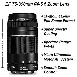 Canon EOS 2000D (Rebel T7) Digital SLR Camera 24.1MP Sensor with EF-S 18-55mm & 75-300mm Lens + ZeeTech Accessory Bundle for, SanDisk 128GB Memory Card, Case and Tripod (Renewed)