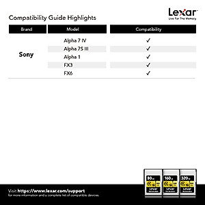 Lexar Professional 80GB CFexpress Type A Gold Series Memory Card, Up to 900MB/s Read, Cinema-Quality 8K Video, Rated VPG 400 (LCAGOLD080G-RNENG)