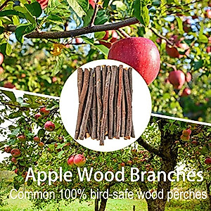 Luonfels Bird Perches Apple Wood Large Parrot Perch, 18" Ladder for Birds Cages Parakeet Conure Cockatiel Toys Accessories Pack of 4