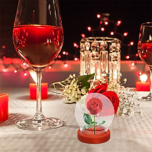 ULTECHNOVO 2pcs Glass Dome Glass Cloche Clear Display Case Cloche Dome Small Display Case Display Cases for Collectibles Glass Case for Display Figures House Decorations for Home Match Cloche