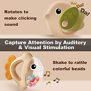 Baby Rattle Teething Toys for Babies 0-6-12 Months 10Pcs, Early Educational Infant Toys Gift Set for Boy Girl 3-6 Months, Newborn Sensory Toys Teether, Grab Shaker, Tummy Time Rattle with Storage Box