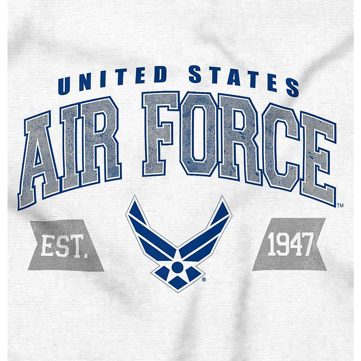 Brisco Brands US Air Force Wing Emblem Established Hoodie Sweatshirt Women Men White