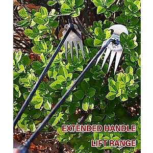 KODEQ 2023 New Weeding Artifact Uprooting Weeding Tool, Premium Manganese Steel Forged Weed Puller 4 Teeth Dual Purpose Weeder, Manual Household Agricultural Tool Weed Remover (C)