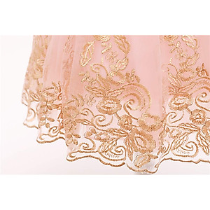 0-6T Big Bowknot Sequins Embroidered Lace Party Tutu Gown Toddler Baby Girls Dress with Headwear Easter Ball Gown Dress Pink 80