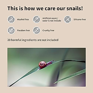 BENTON Snail Bee High Content Mask Pack (20g / 10 Sheets) - Snail Mucin Face Mask With Bee Venom | Korean Skin Care Face Mask Sheets For Moisturizing, Soothing and Nourishing (2022 Package)