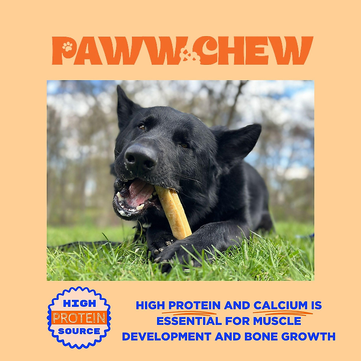 PAWW CHEW Yak Cheese Himalayan Dog Chews - All Natural Long Lasting Dog Treats, (Large - 4 Pack) Odorless, High Protein Yak Chew, Great for Oral Health, Only 3 Ingredient Yak Bone for Power-Chewers