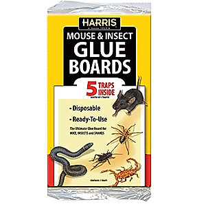Harris Mouse & Insect Glue Boards, 5 Pre-Baited Traps