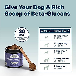 Four Leaf Rover: Seven 'Shrooms- Immune Supporting Organic Mushroom Complex for Dogs - 15 to 60 Day Supply, Depending on Dog’s Weight - Rich in Beta Glucans - Grown on Wood - Vet Formulated