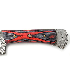 Wild Turkey Handmade Damascus Knife Collection Full Tang Hunting chef Knife w/leather case. (3315)