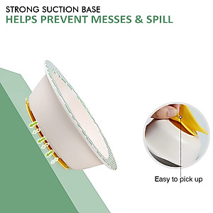 Greentainer 5 PC Kids Toddler Dinnerware Sets Bamboo Toddlers Dishes Set Kids Feeding Plates and Bowls Sets with Sunction and Utensil Flatware Durable & BPA Free