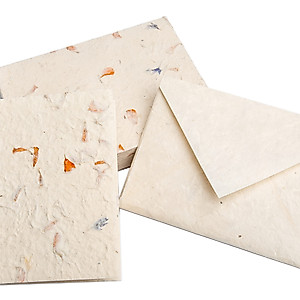 HIMALAYAN BAZAAR Lokta Paper Greeting Cards and Envelope Set - Ecofriendly Stationary Blank Note Cards | All Occasion Greeting Cards | Handmade in Nepal