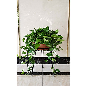 iLTreFlo Midcentury Modern Metal Potted Plant Stand 18.7 inches Tall Flower Pot Holder Large Rustproof Iron Garden Container Heavy Duty Rack for Planter,Black